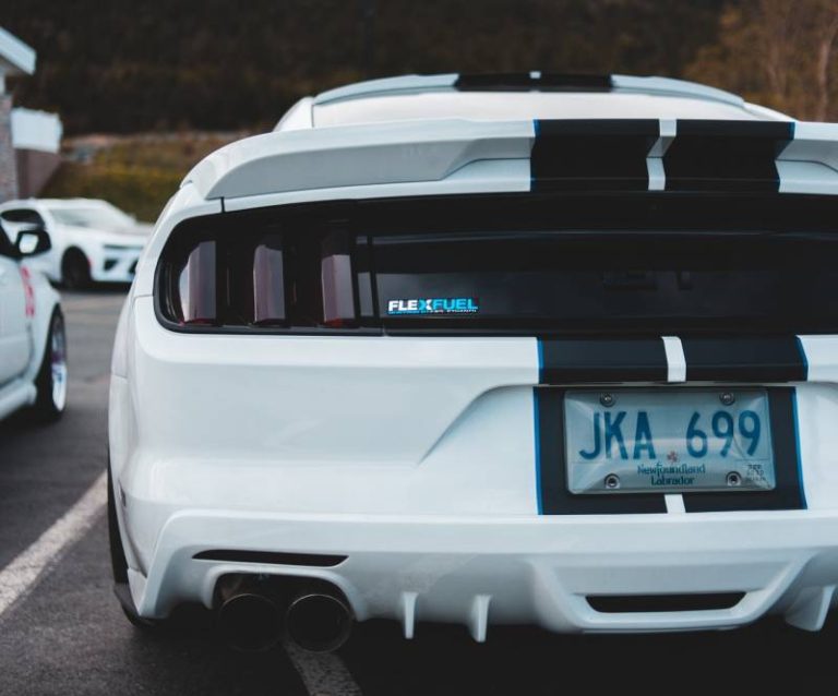 5 Practical Ways To Protect Car License Plates From Scratches - Car ...